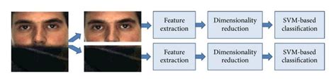 Our Occlusion Detection Scheme Download Scientific Diagram
