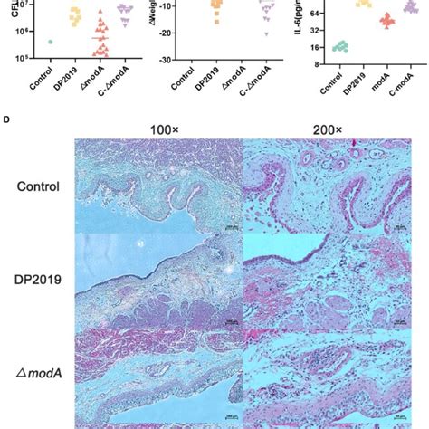 Examination Of Swarming Motility A Line Graph Showing Swarming Download Scientific Diagram