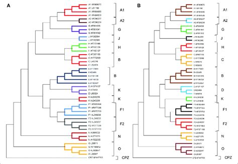 A The Phylogenetic Tree Of 44 Hiv 1 Genomes Reconstructed By Download Scientific Diagram
