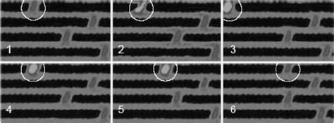 Six STM images 56 31 Å 2 extracted from a typical STM movie Shown Download Scientific