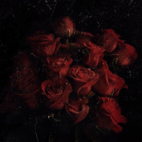 Yandere Hsr X Reader On Tumblr