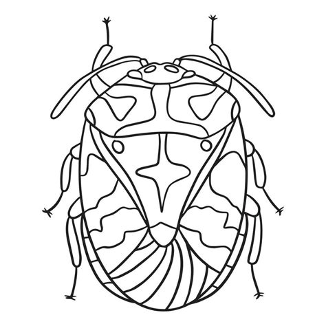 Beetle Insect Outline Art Good For Graphic Design Resources Posters