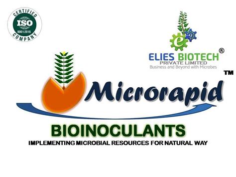 Liquid Bio Tech Grade Effective Microorganism Solution Packaging Type