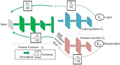 Rolling Bearing Dynamics Simulation Information Assisted Fault Diagnosis With Multi Adversarial