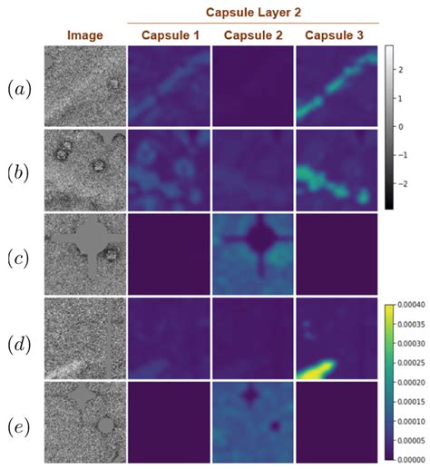 Routing Path Visualization To Interpret The Entities That The Capsules