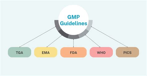 Powerful Move Towards Safer Medicines Pharma Industry Given Government Deadline To Embrace WHO