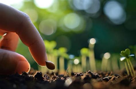 Priyanka Shenoy On Linkedin Perseverance Nevergiveup Learngrowevolve Workculture Hr