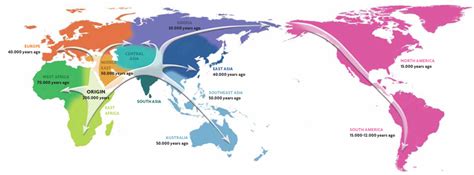 The Genetics Of Human Migration Revista Mètode