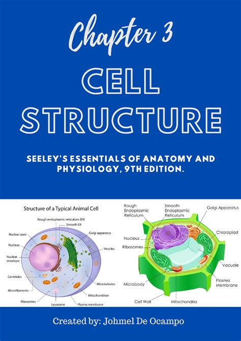 AP Chapter Cell Structure CELL STRUCTURE Chapter SEELEY S ESSENTIALS OF ANATOMY AND Studocu