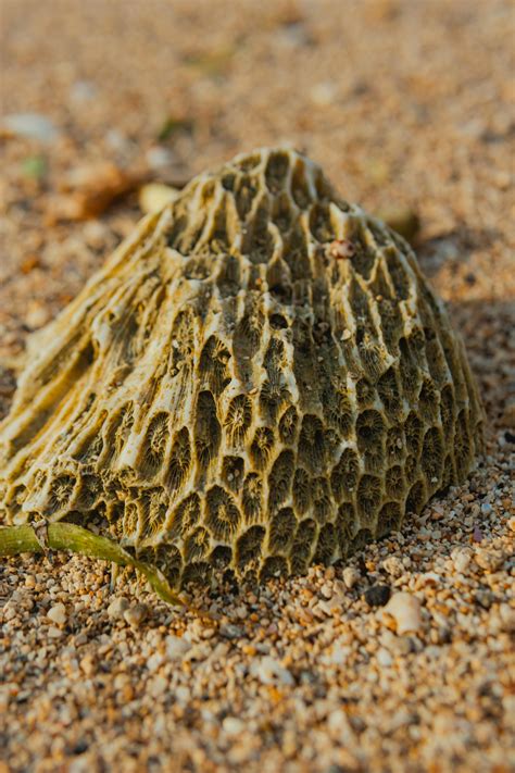 Ground Fault Circuit Interrupter Photos Download The Best Free Ground