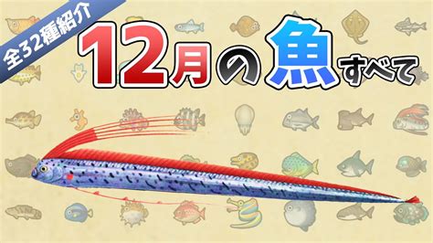 【あつ森】12月に釣れる魚を全て紹介！魚影や出現場所、時間、条件、買取値段など徹底解説！マグロやイトウ、リュウグウノツカイなどレア魚が大量