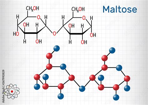 Disaccharide Molecule Structure