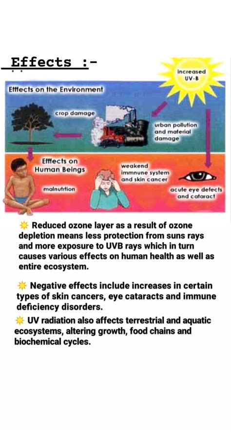 The Ozone Layer Protective Shield Of Earth R Sciences