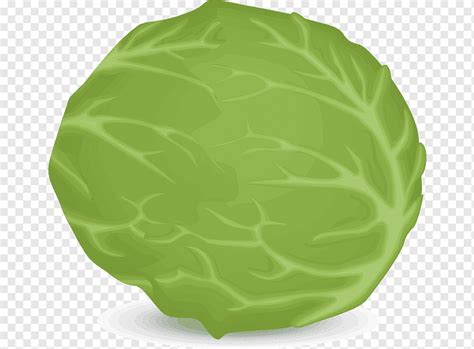 빙산 양상추 잎 야채 양상추 잎 야채 음식 잎 Png Pngwing