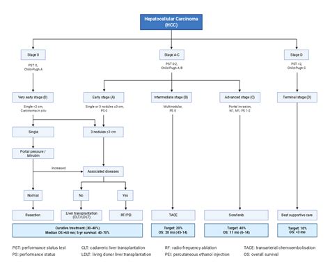 Barcelona Clinic Liver Cancer Bclc Staging System Biorender Science Templates