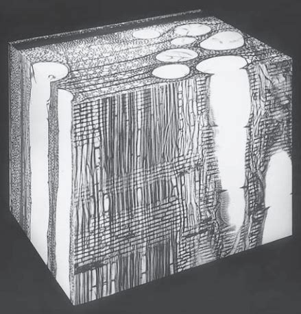 Structure Of Timber Civil Engineering Courses