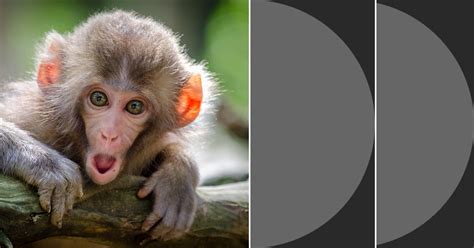 List Java Threading Curated By Vamsi Krishna Gunturu Medium