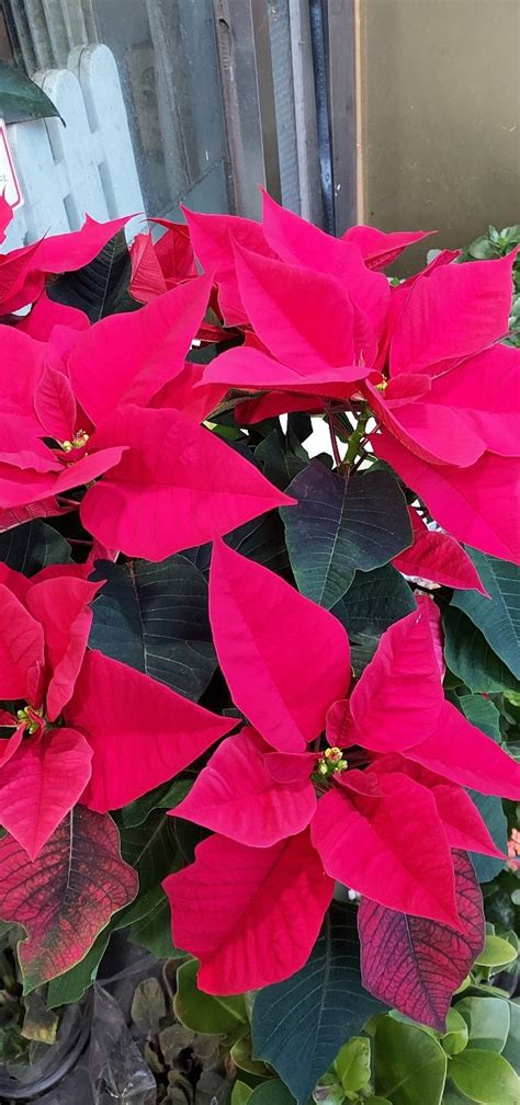 나를 사랑합시다