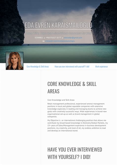 Program Manager Resume Samples And Templates VisualCV