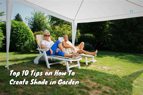 Top Tips On How To Create Shade In Garden Phyxter Home Services