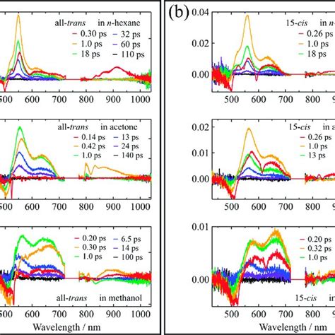 Femtosecond Time Resolved Absorption Spectra Of The A All Trans And