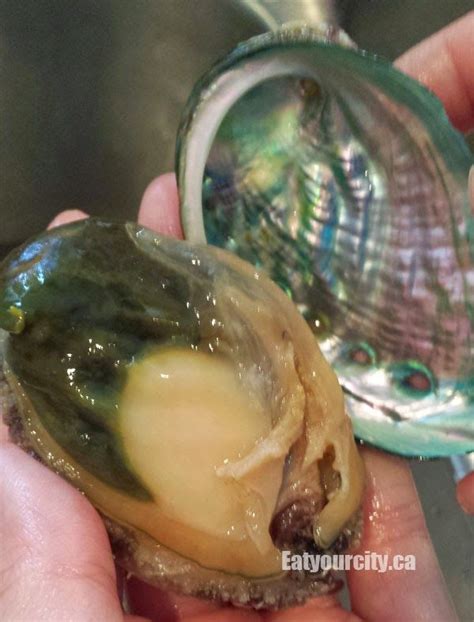 How To Prep And Clean Fresh Or Frozen Abalone And Braise It In A Dried