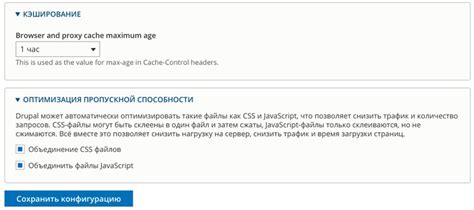 Оптимизация Css и Js в Drupal 8 110322 2324 Пикабу