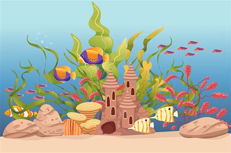 물고기 잔디 돌 및 장식 항목 벡터 일러스트 레이 션 흰색 배경에 고립 된 수족관 0명에 대한 스톡 벡터 아트 및 기타 이미지 Istock