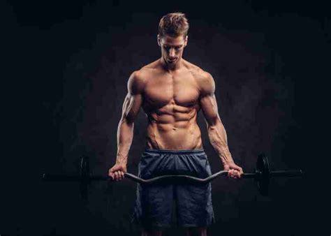 An Aesthetic Workout For Ectomorphs Skinny To Beefy Noob Gains