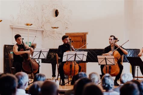 Celloversum Photos Sofía Torres Durán