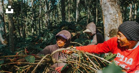 갈색 재킷을 입고 갈색 모자를 쓴 남자가 낮에 푸른 잔디에 앉아 있다 사진 Unsplash의 무료 숲 이미지