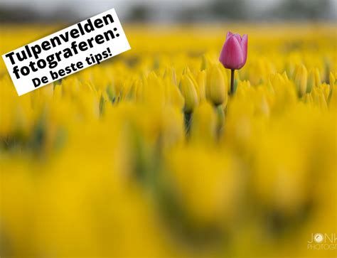 10 Tips Voor Het Fotograferen Van Onweer Bliksem En Storm