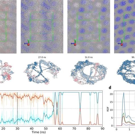 A Simulation Snapshots Taken In The Region Of The Transition From Download Scientific Diagram