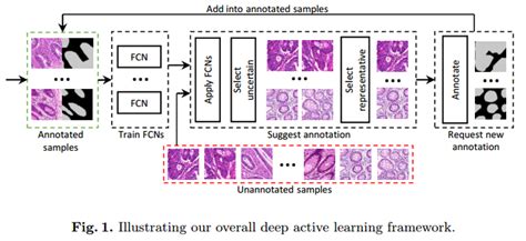 Suggestive Annotation A Deep Active Learning Framework For Biomedical