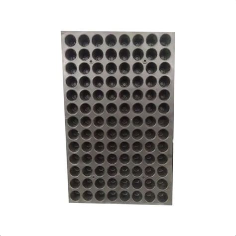 Polished Hdpe Seedling Tray At Best Price In Indore Balaji Agrotech