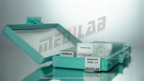 Prepared Microscope Slides Biology Slides Medilab