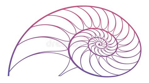 Nautilus Shell Fibonacci Sequence And Natural Beauty Vector Design