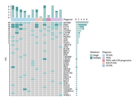 Single And Multiple Somatic Mutations Of Csf Cfdna At Baseline Download Scientific Diagram