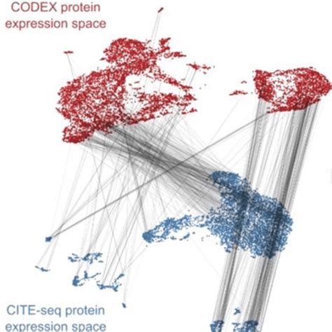 Ask An Expert A Novel Approach For Spatial Multi Omics With Single Cell Resolution Akoya