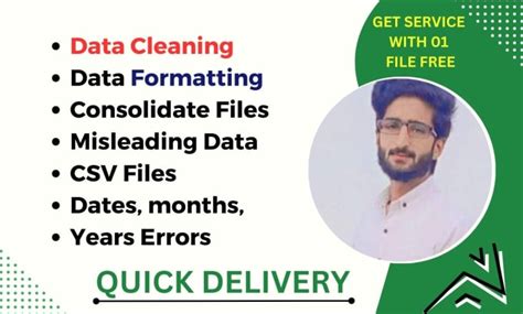 Clean Format And Sort Your Raw Data Into An Organized Data By Habib