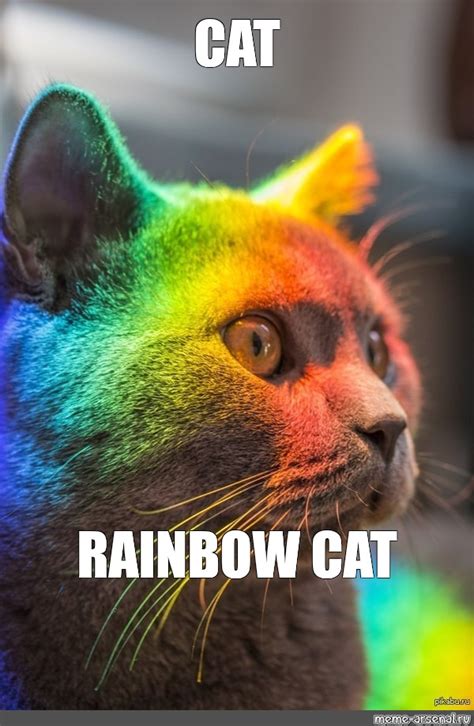 Meme Cat Rainbow Cat All Templates Meme