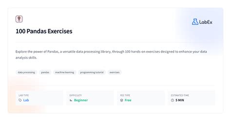100 Pandas Exercises Labex