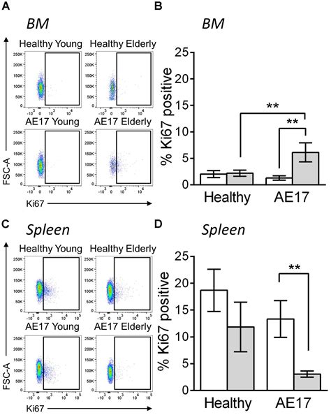 How To Detect Adulteration In Honey