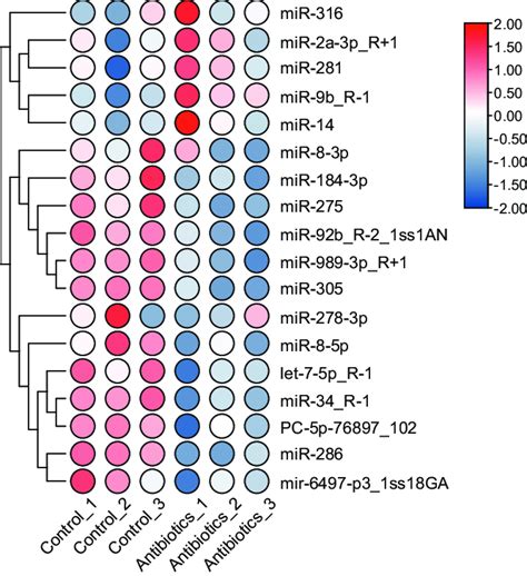 Hierarchical Heatmap Of Differentially Expressed Mirnas Dems In The