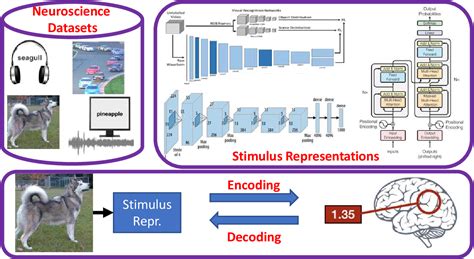 Deep Neural Networks And Brain Alignment Brain Encoding And Decoding Survey Paper And Code