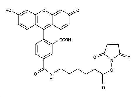 5 Fam X Se 5 羧基荧光素琥珀酰亚胺酯 Cas 148356 00 7 西安百萤生物科技有限公司