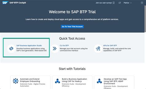 SAP Cloud ALM Extend With APIs Part 7 Build Cus SAP Community