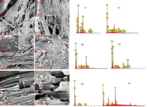 Ad Sem Eds Of Unmodified And Modified Surfaces Of The Bagged Sorbent Download Scientific