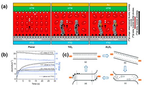 Recent Progress And Challenges Of Electron Transport Layers In Organic