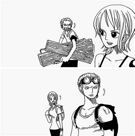 Pin De Umika Raizen En Zoro X Nami Zona Personajes De One Piece Personajes De Anime